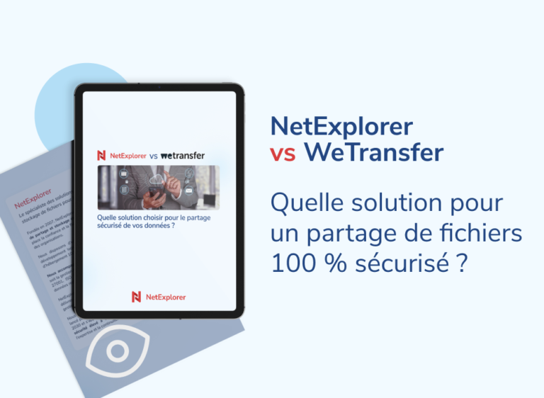 Online file sharing and storage solutions - NetExplorer